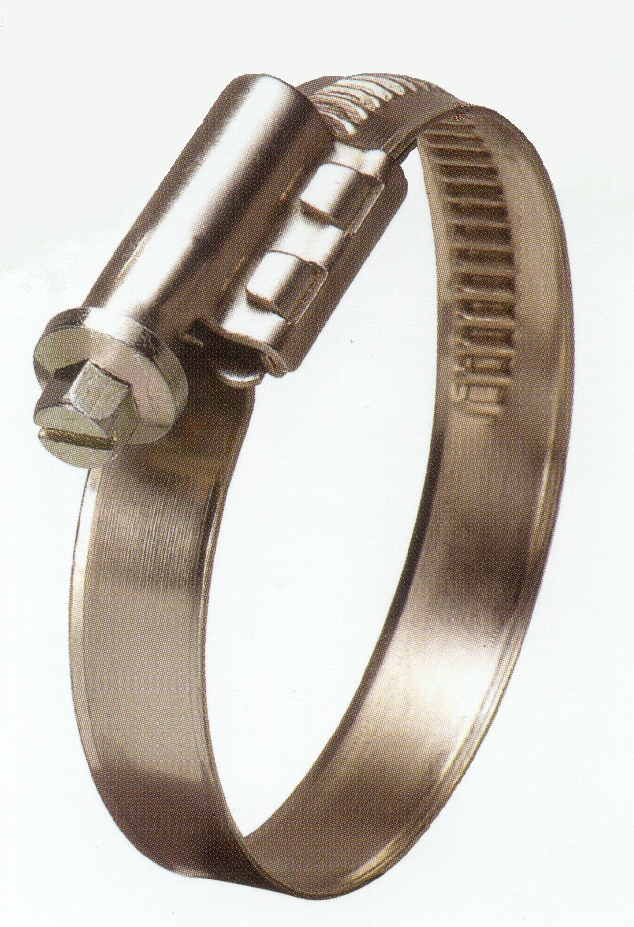 NORMAL W2 TABLE 12mm band, SCREW CLAMP AISI 430 - W2 - MasterTubi